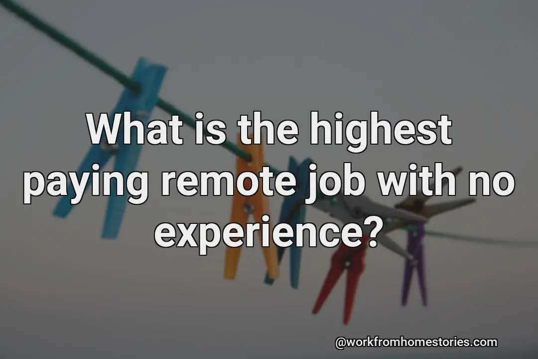 Whats The Highest Paid Remote Job With No Experience